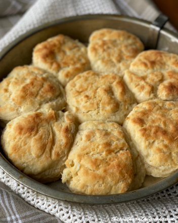 Cathead Biscuits - The Southern Lady Cooks - Old Fashioned Recipe