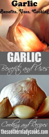 GARLIC BENEFITS, USES AND COOKING - The Southern Lady Cooks