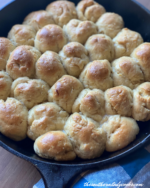 HONEY CORNMEAL ROLLS - The Southern Lady Cooks
