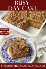 BUSY DAY CAKE - The Southern Lady Cooks