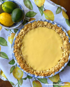 SOUTHERN APPLE PIE - The Southern Lady Cooks