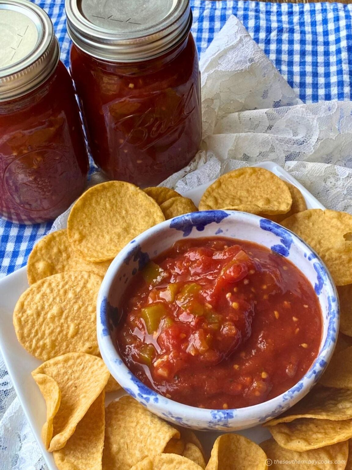 HOMEMADE CANNED SALSA RECIPE - The Southern Girl Cooks - TopTrendBox