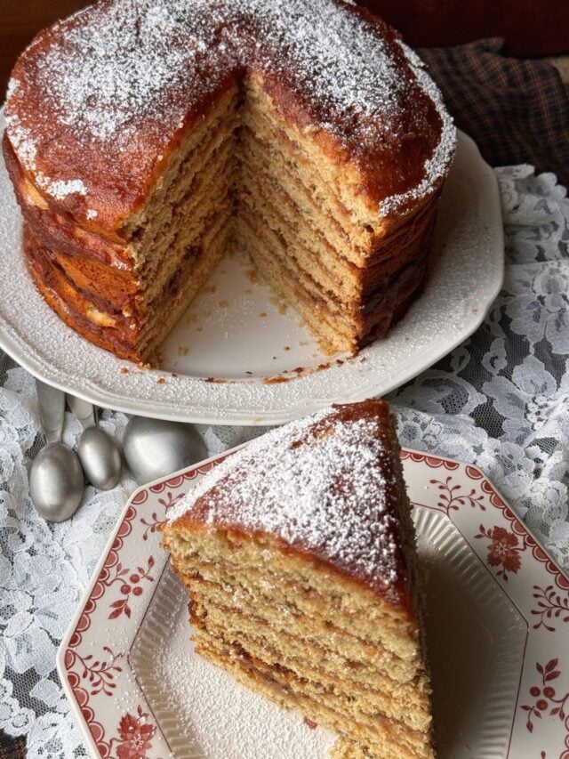 APPALACHIAN APPLE STACK CAKE - The Southern Lady Cooks